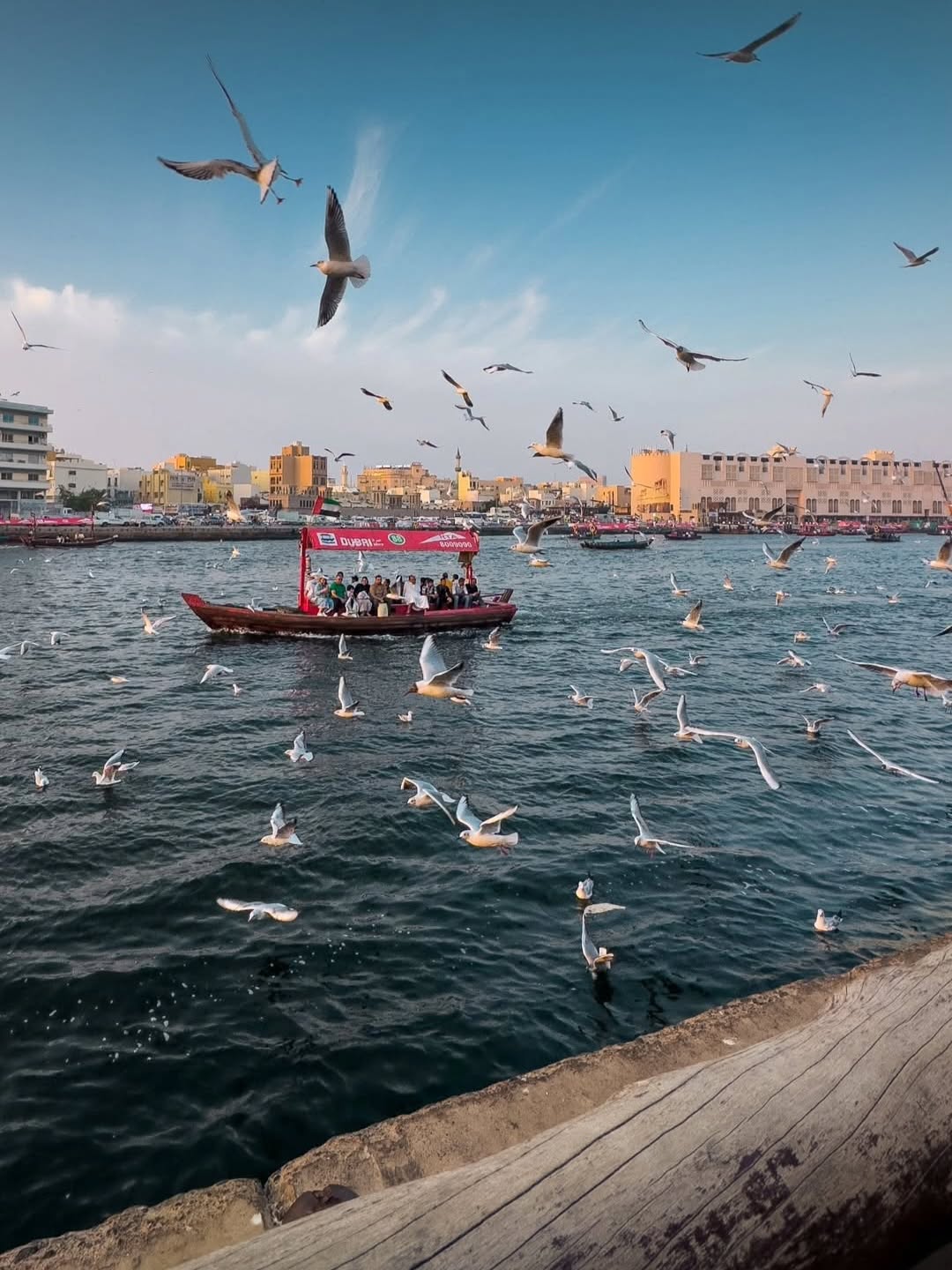 Notes from the Real Dubai: A Local's Guide | nom:me